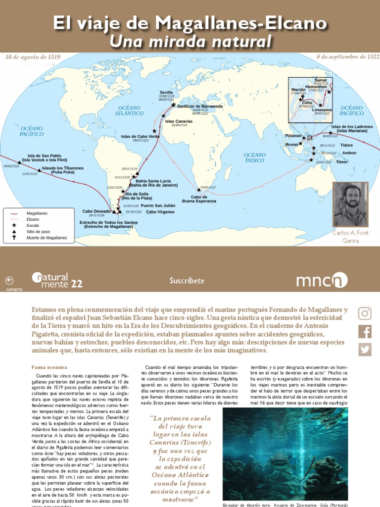 Fauna en el viaje de Magallanes | PDF | Aves | Tiburones