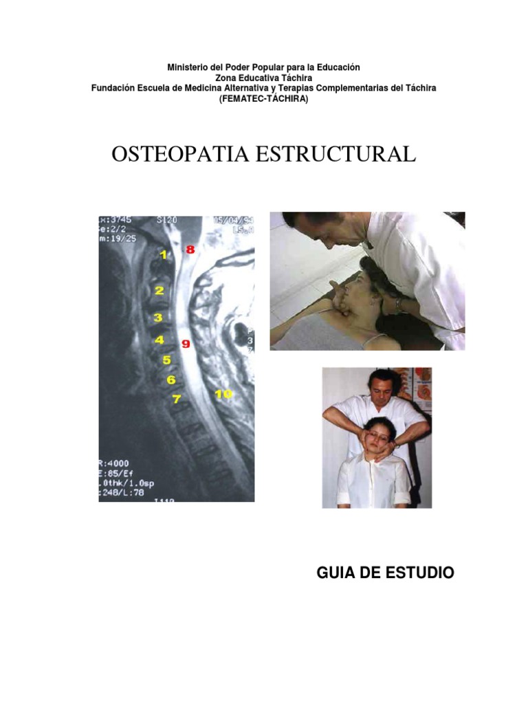 Guia de Osteopatia Estructural Fematec | PDF | La columna vertebral ... Guia de Osteopatia Estructural Fematec | PDF | La columna vertebral ...