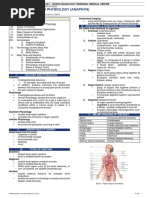 Anatomical Terminology Worksheet | PDF | Anatomical Terms Of Location ...