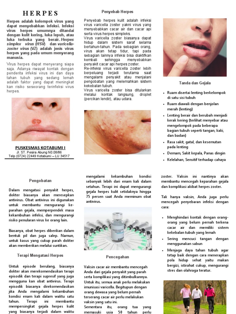 Contoh Leaflet Scabies | PDF