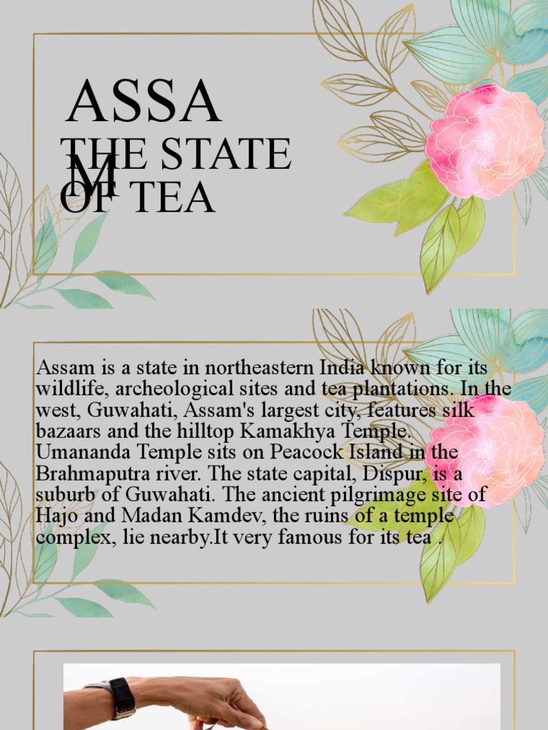 Assam Tea | PDF | Tea | Hot Drinks