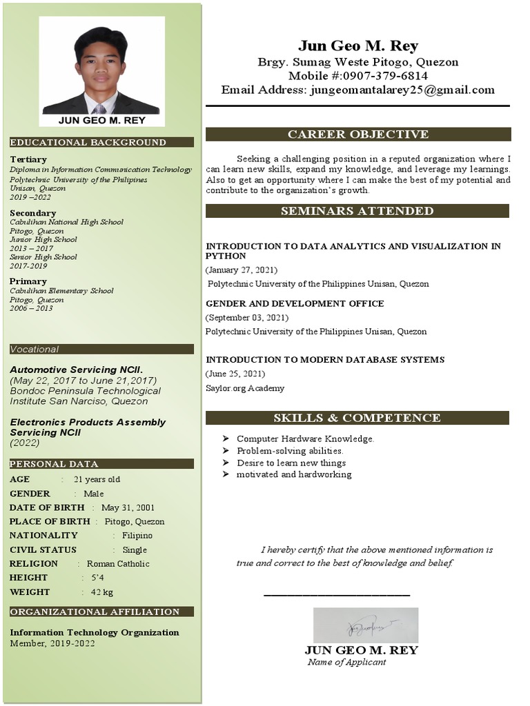 Jun Geo M. Rey's Resume | PDF | Philippines | Computing