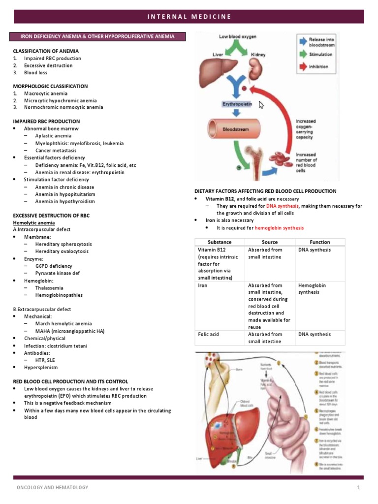 Understanding Iron Deficiency Anemia: Causes, Presentation, Diagnosis ...