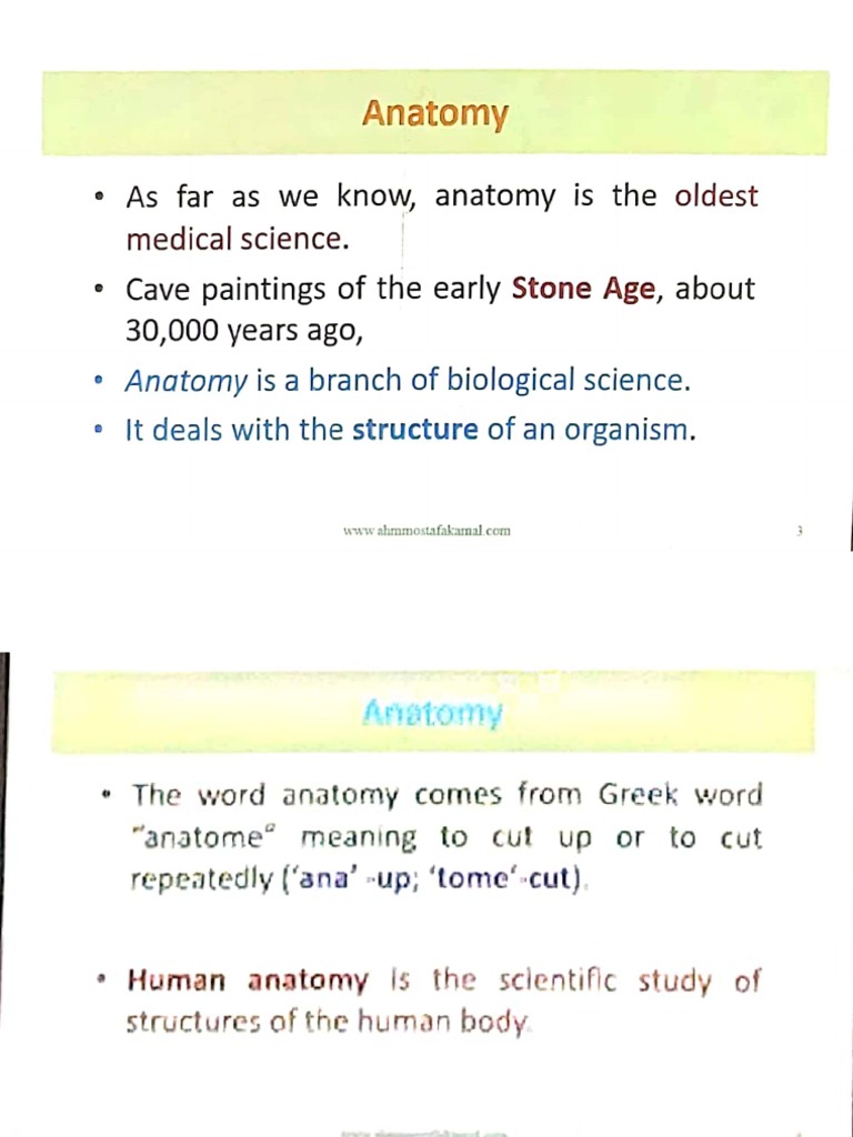 Anatomy L-1 | PDF