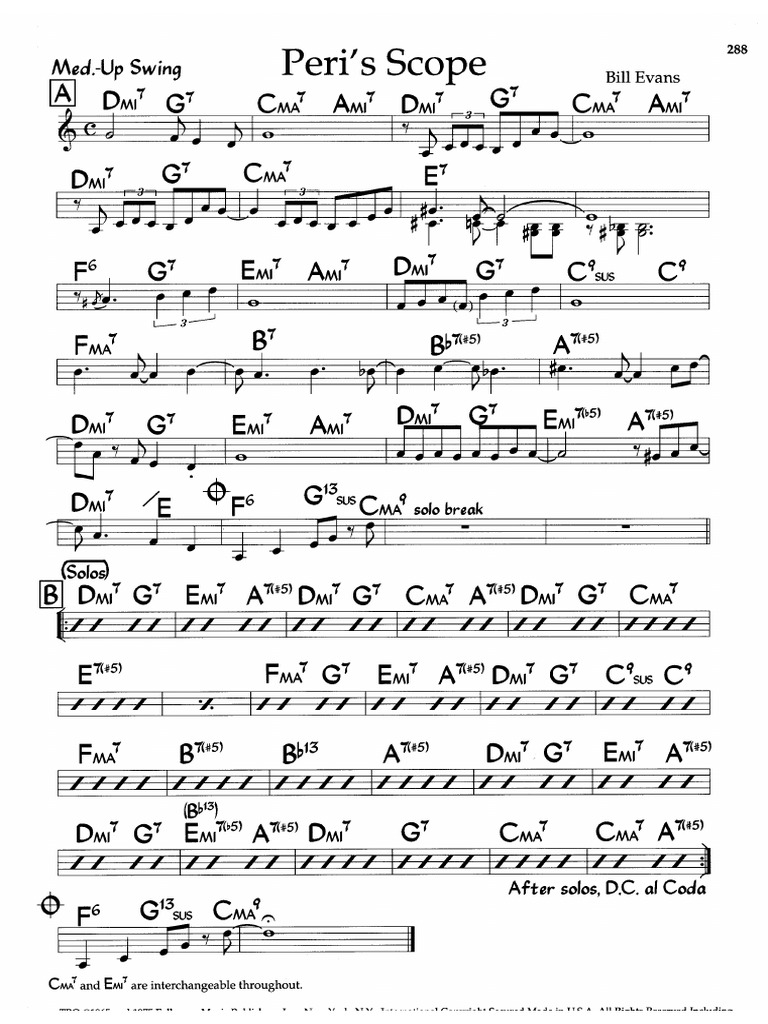 Peri S Scope | PDF