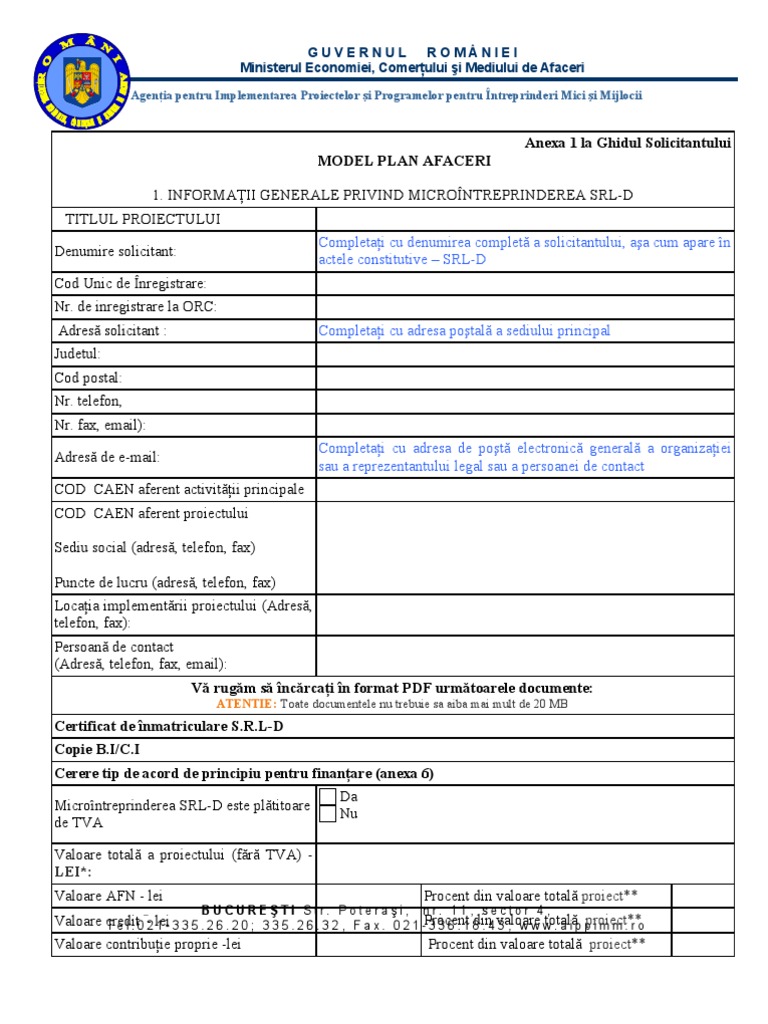 Anexa 1 Model Plan de Afaceri | PDF