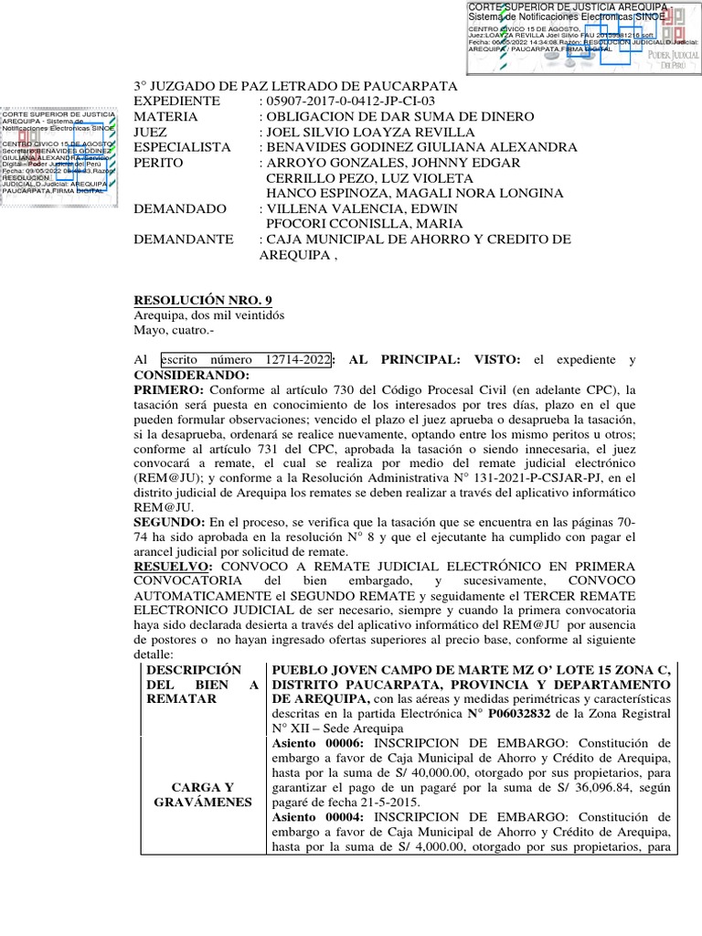 Resolucion 9 de Embargo PJA | PDF | Subasta | Gobierno