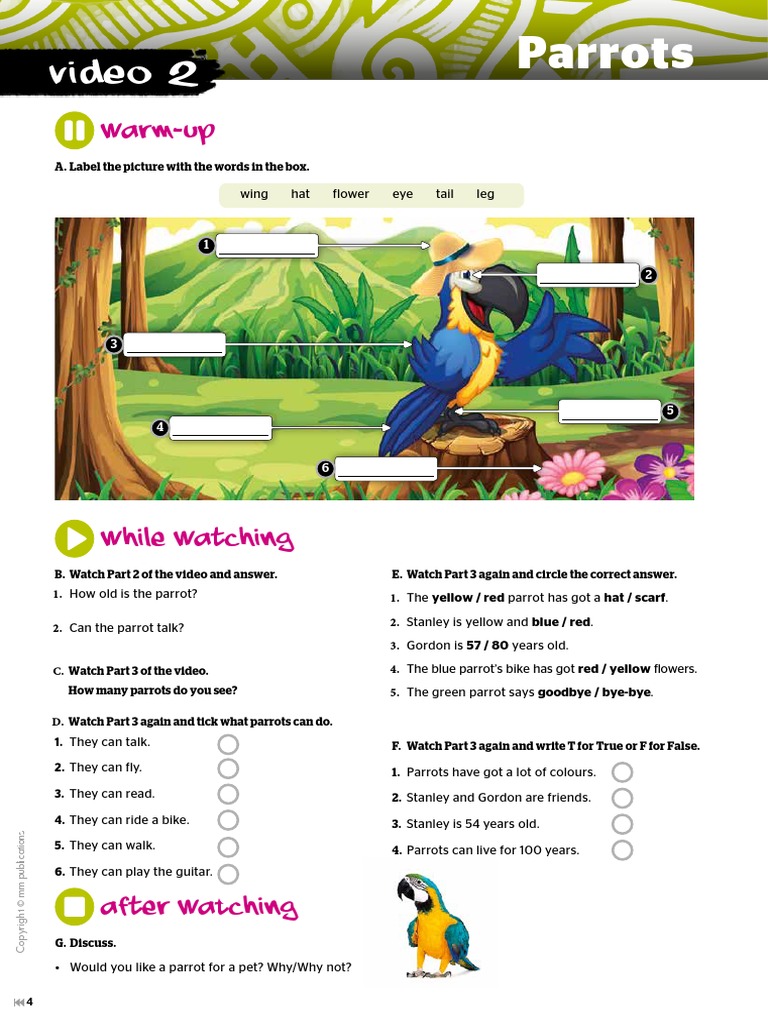 Switch On Worksheets 1 Form Video 2 | PDF