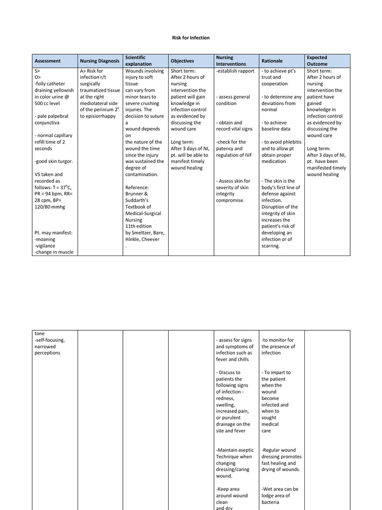 Risk For Infection | PDF