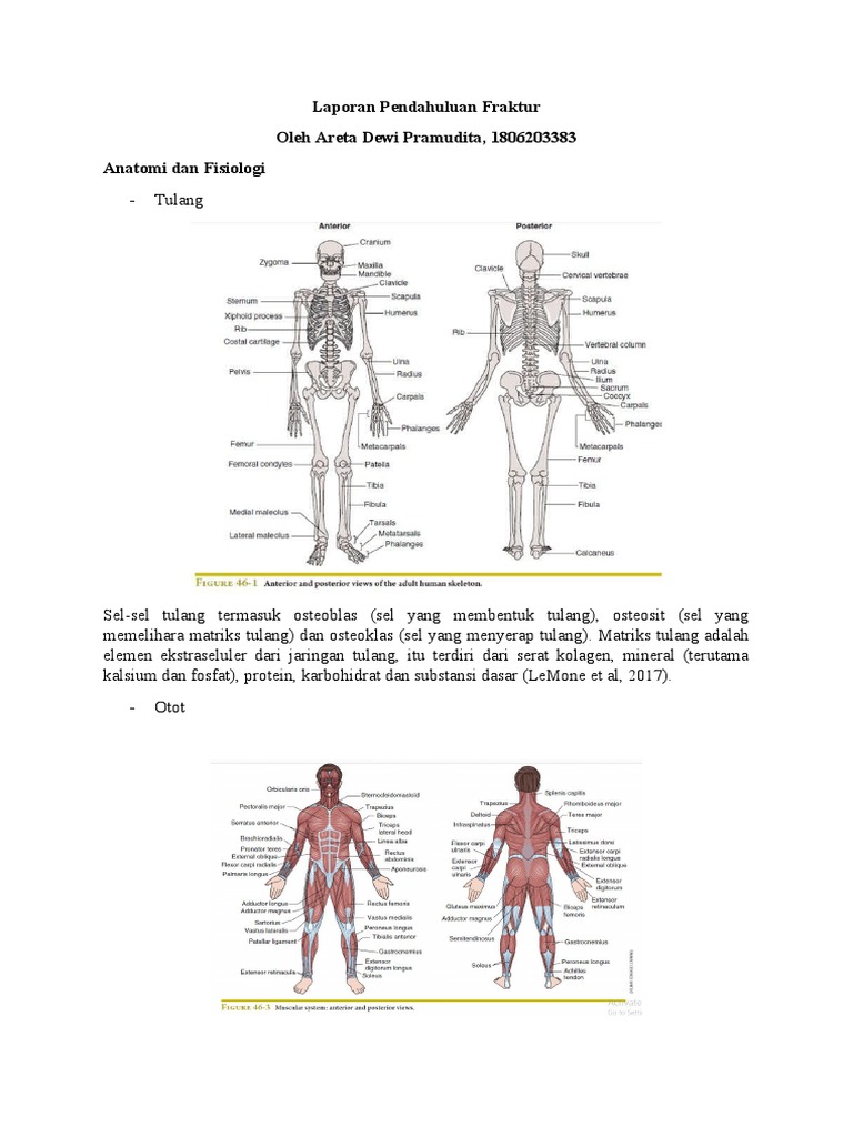 LP KGD Fraktur | PDF