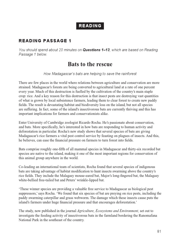 Cambridge 17 Reading Test 4 | PDF | Bat | Rice