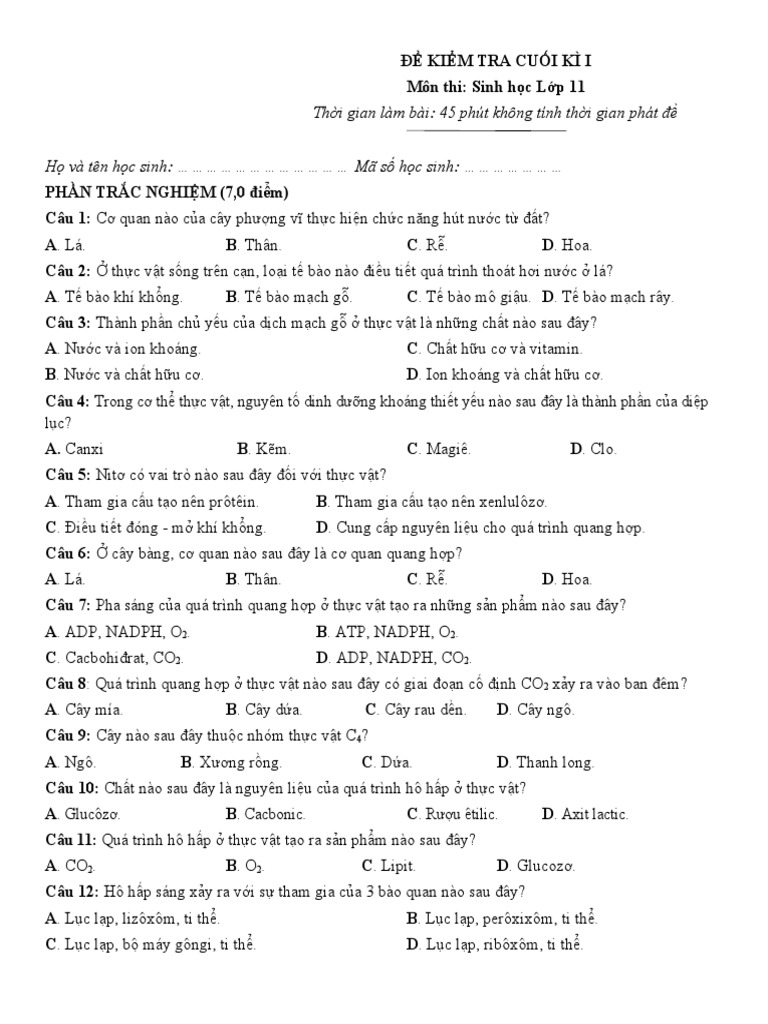 De MH HK 11 Sinh | PDF