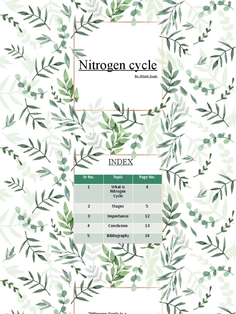 Nitrogen Cycle | PDF | Nitrogen | Ecology