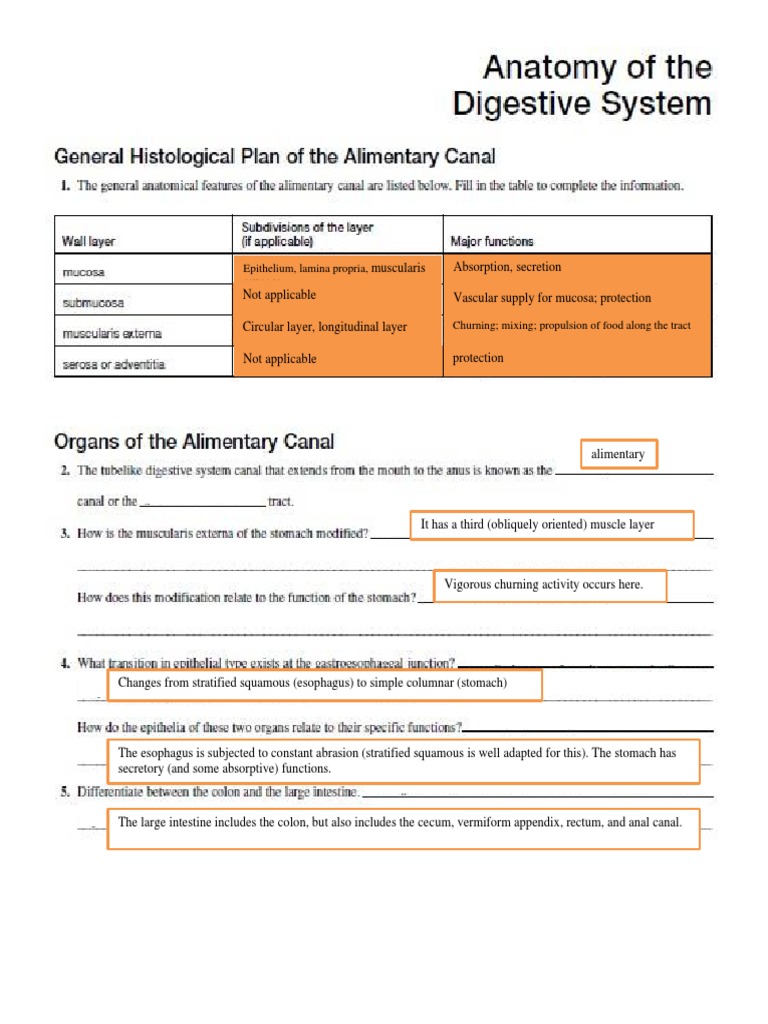 Adamson University - BS PSYCHOLOGY - HUMAN ANATOMY AND PHYSIOLOGY | PDF