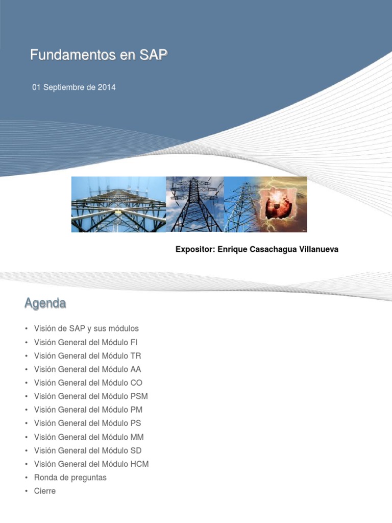 Fundamentos Básicos de SAP | PDF | Planificación de recursos empresariales | Obtención