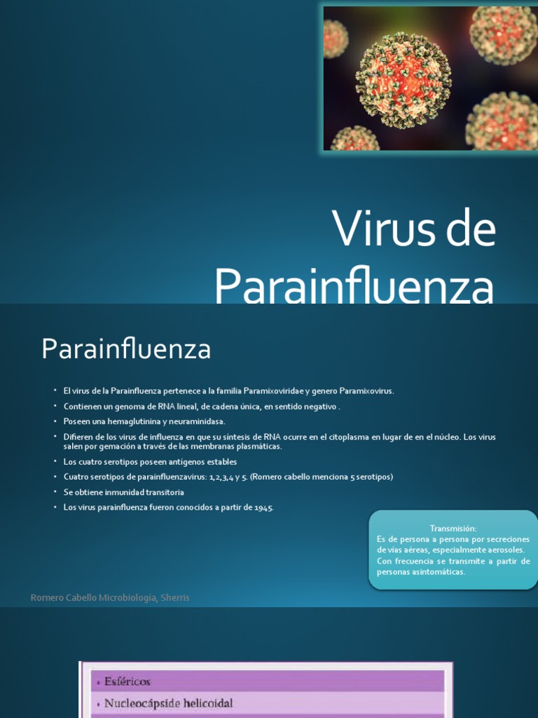 Virus de Parainfluenza | PDF | Virología | Enfermedades respiratorias