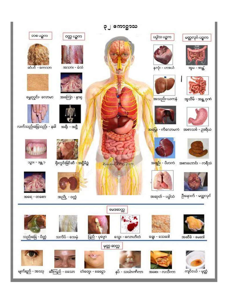၃၂ ကောဋ္ဌာသ Pdf