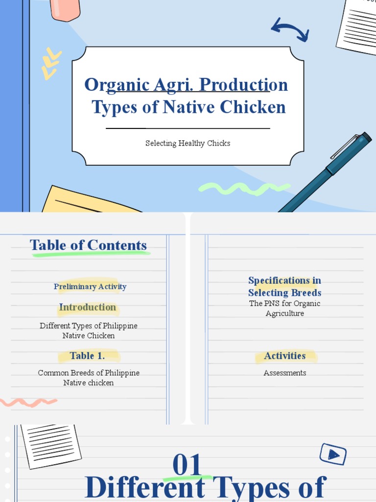 Different Types of Philippine Native Chicken | PDF | Chicken | Agriculture