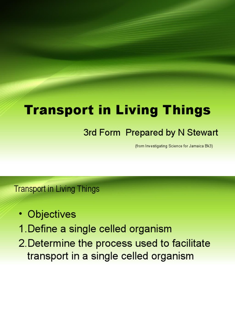 Transport in Living Things 1 | PDF | Diffusion | Leaf