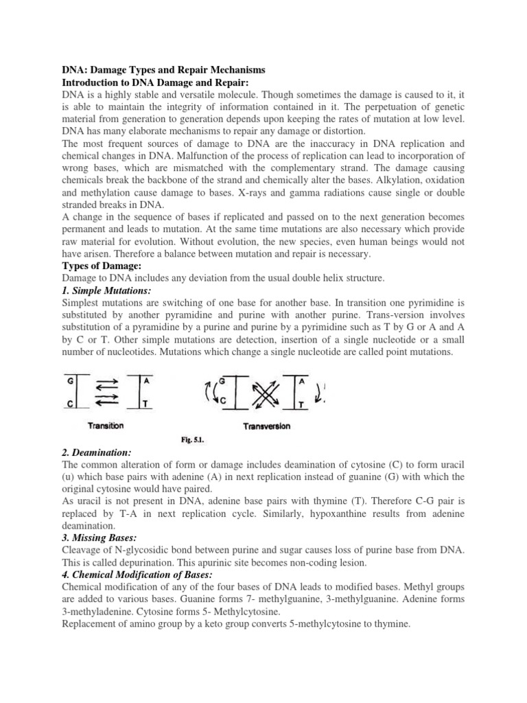 DNA: Damage Types and Repair Mechanisms Introduction To DNA Damage and ...