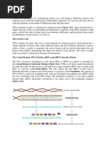Lesson Plan Grade 10 Mutation | PDF | Genetic Code | Gene