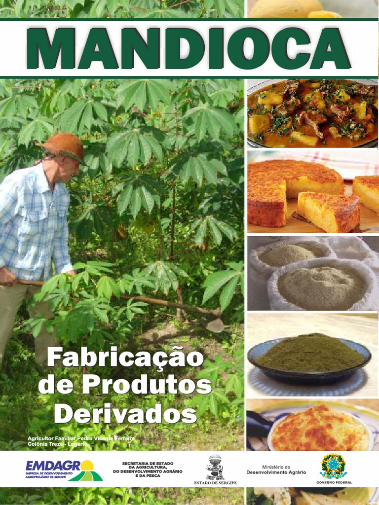 Mandioca | PDF | Pães | Caldo