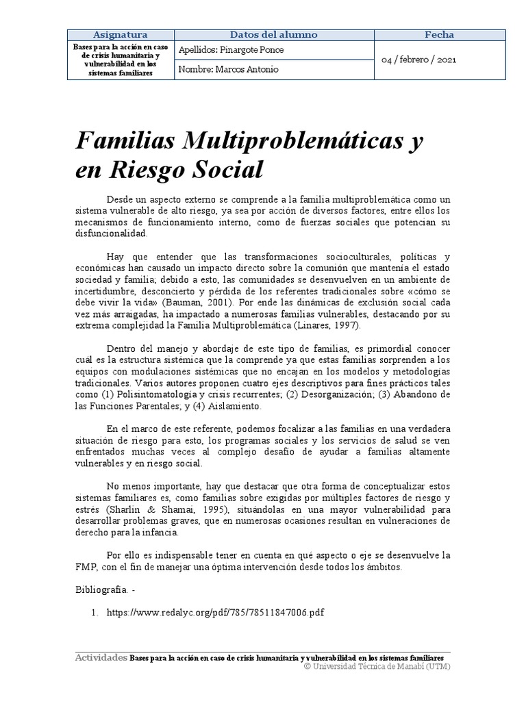 Ensayo Familia Multiproblematicas | PDF