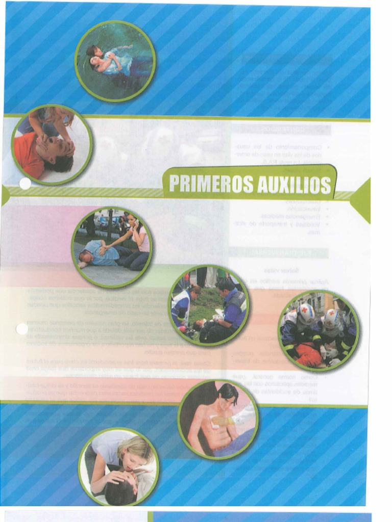 Primeros Auxilios | PDF