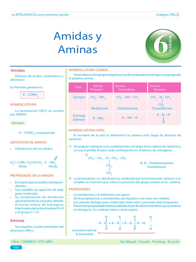 Nomenclatura y propiedades de amidas y aminas | PDF | Amoníaco | Amida