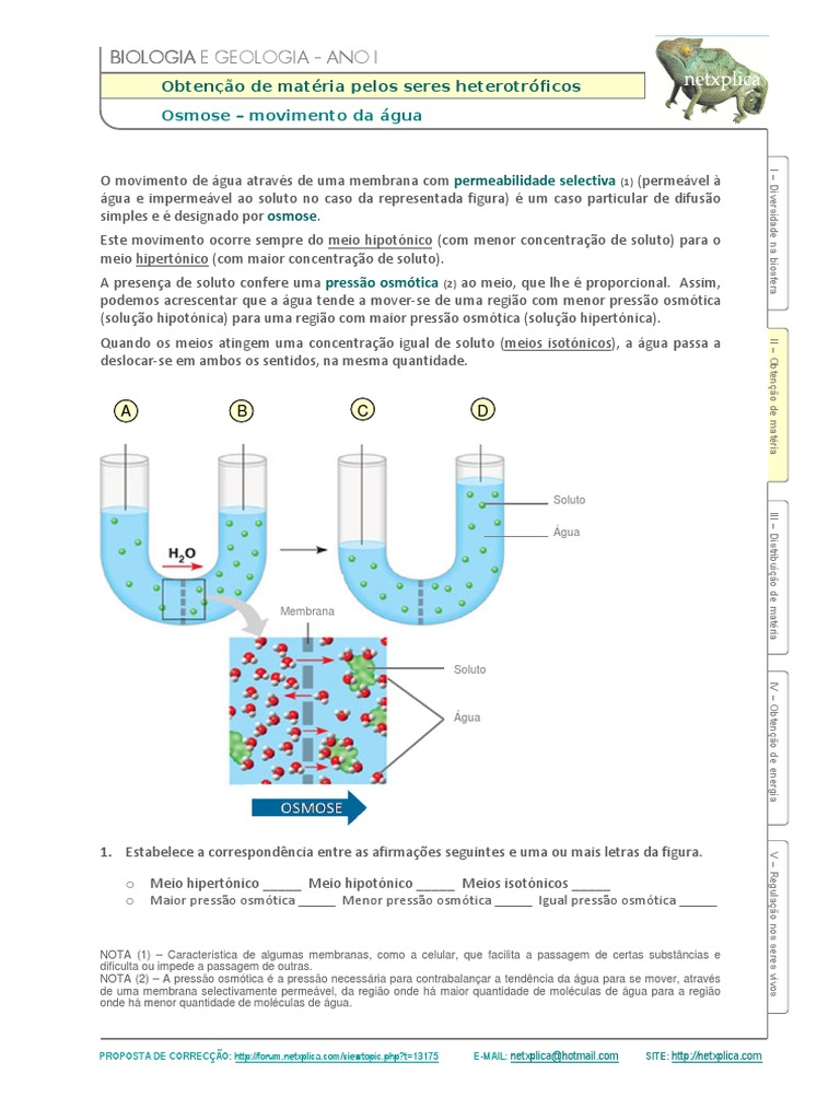 13 - Osmose | PDF | Osmose | Química