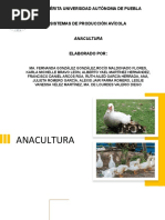 Sistema de Producción de Leche en Granjas Bovinas Familiares | PDF | Vacas | Leche