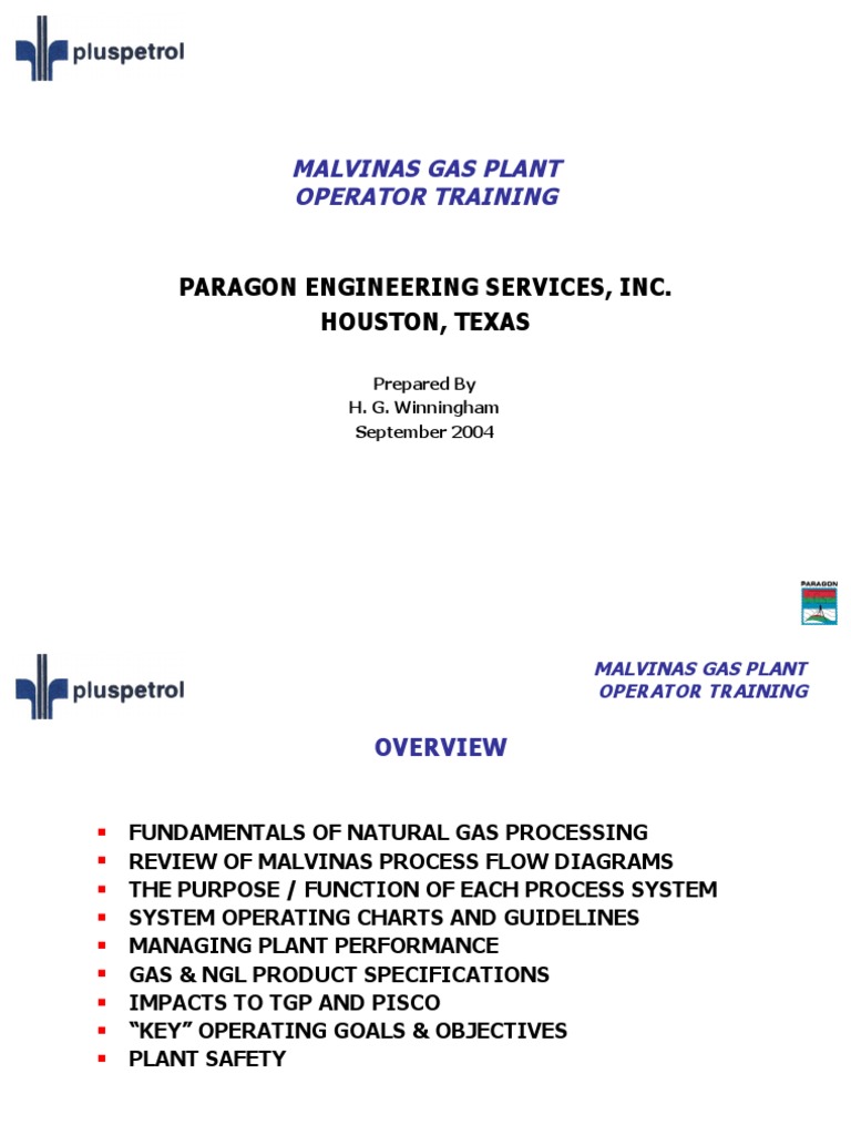 Malvinas Gas Plant Operator Training: Paragon Engineering Services, Inc. Houston, Texas | PDF ...