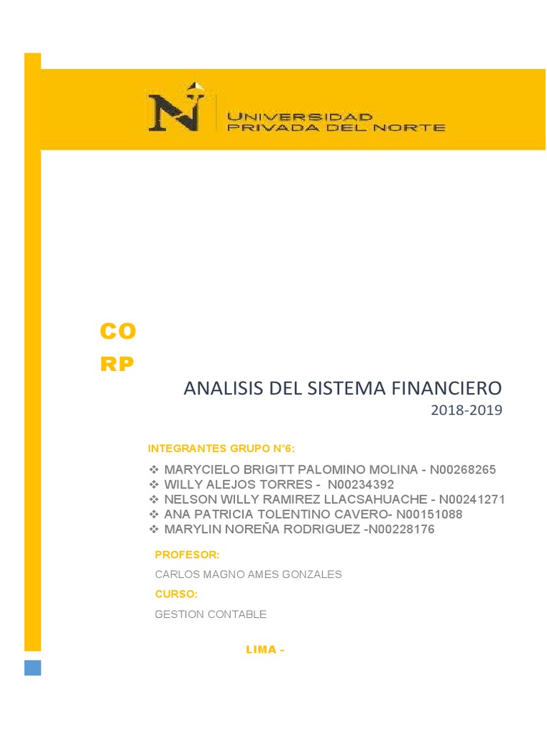 Proyecto Final-Gestion Contable-Grupo N°6-Tolentino Cavero Ana Patricia | PDF | Rentabilidad ...