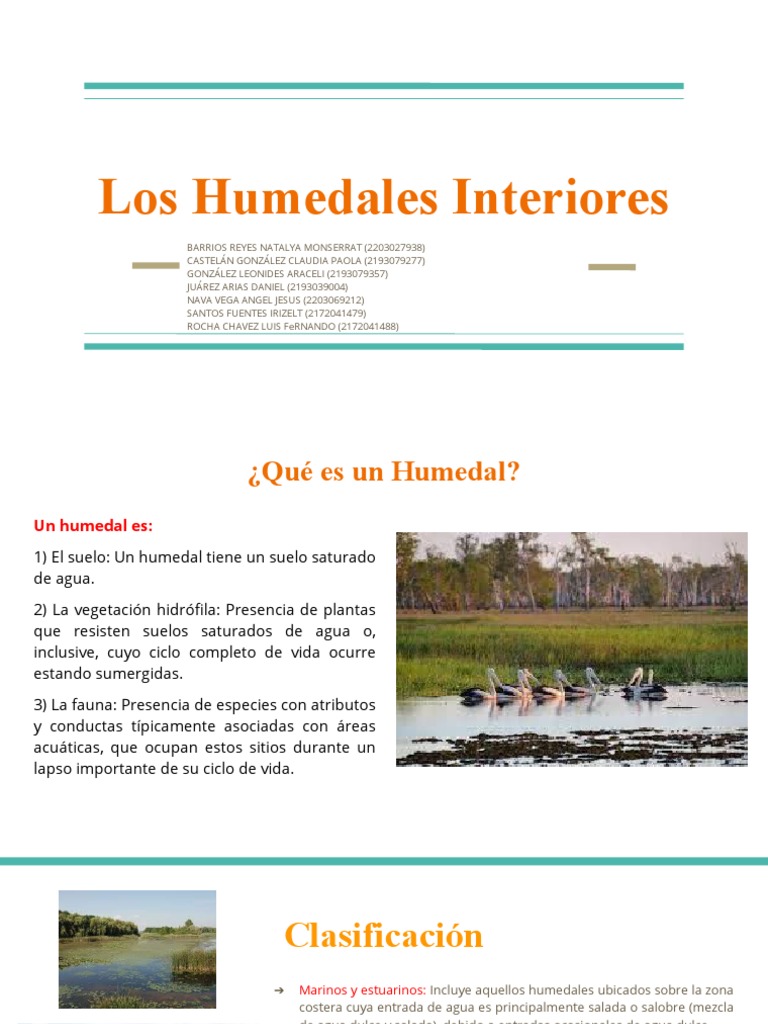 Tipos y Funciones de Humedales Interiores | PDF | Humedal | Agua