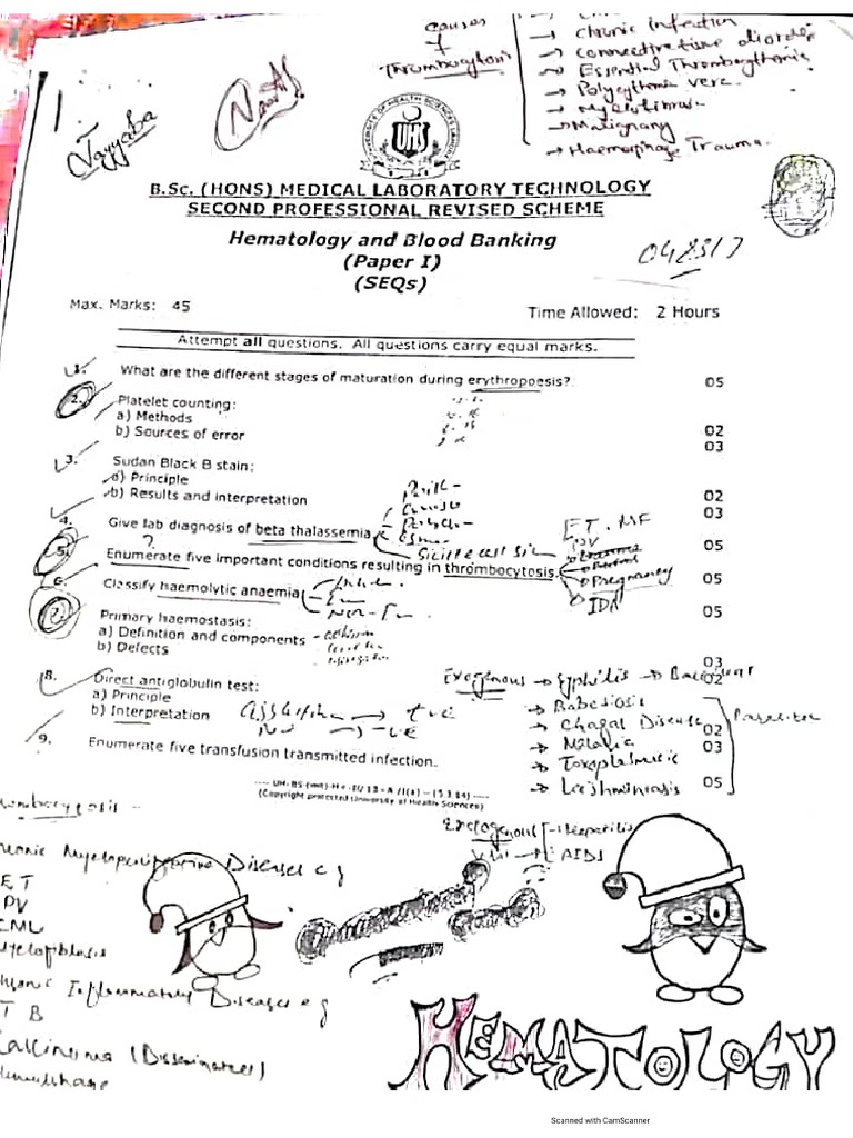 Updated Past Paper UHS 2nd Year | PDF