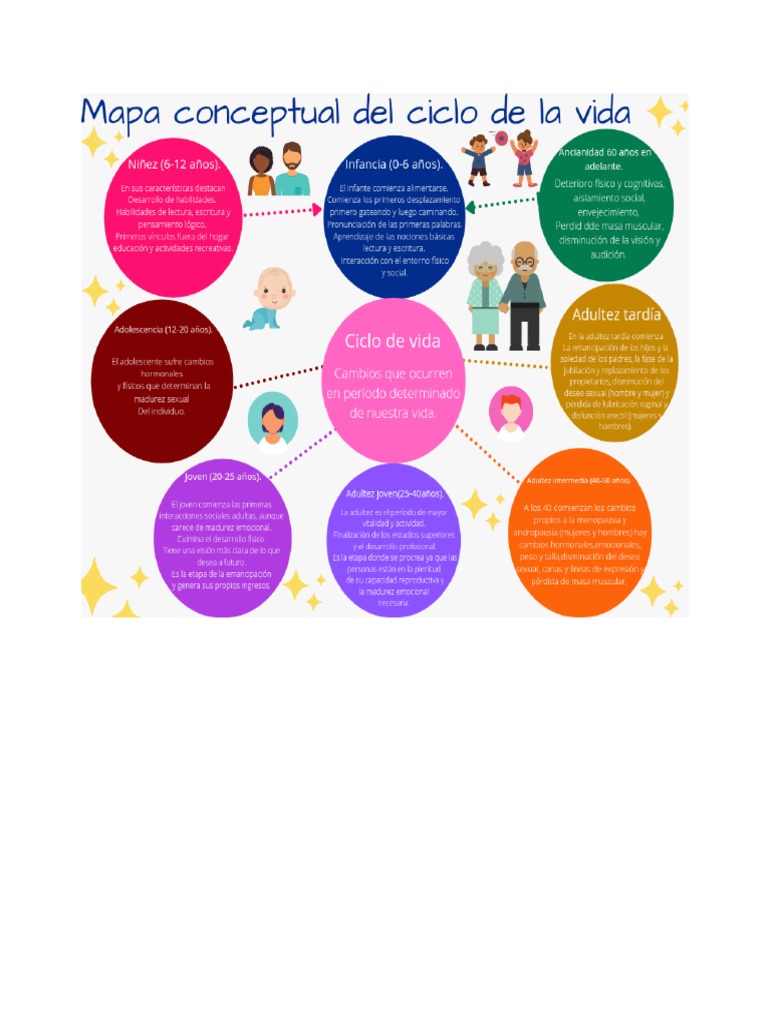 Mapa Conceptual Del Ciclo de La Vida | PDF