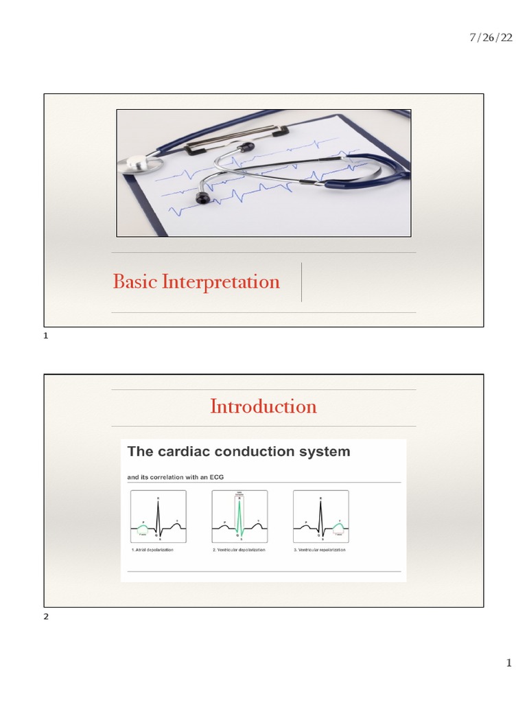 Basic ECG Interpretation Hipgabi | PDF