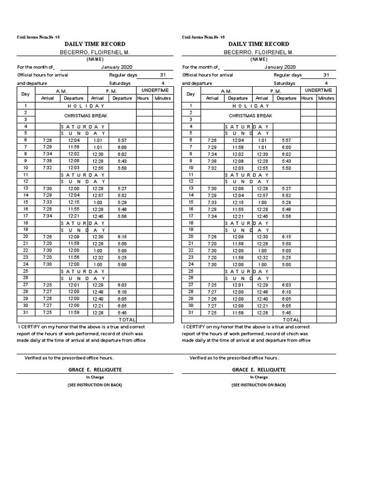 DTR Biometric Format | PDF