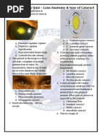 Spot VS100 Vision Screener, Conversion Chart & Instructions PDF | PDF ...