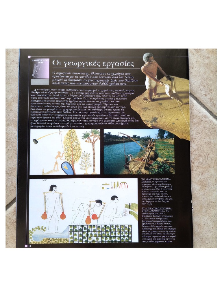 Η Γεωργία Στην Αρχαία Αίγυπτο | PDF