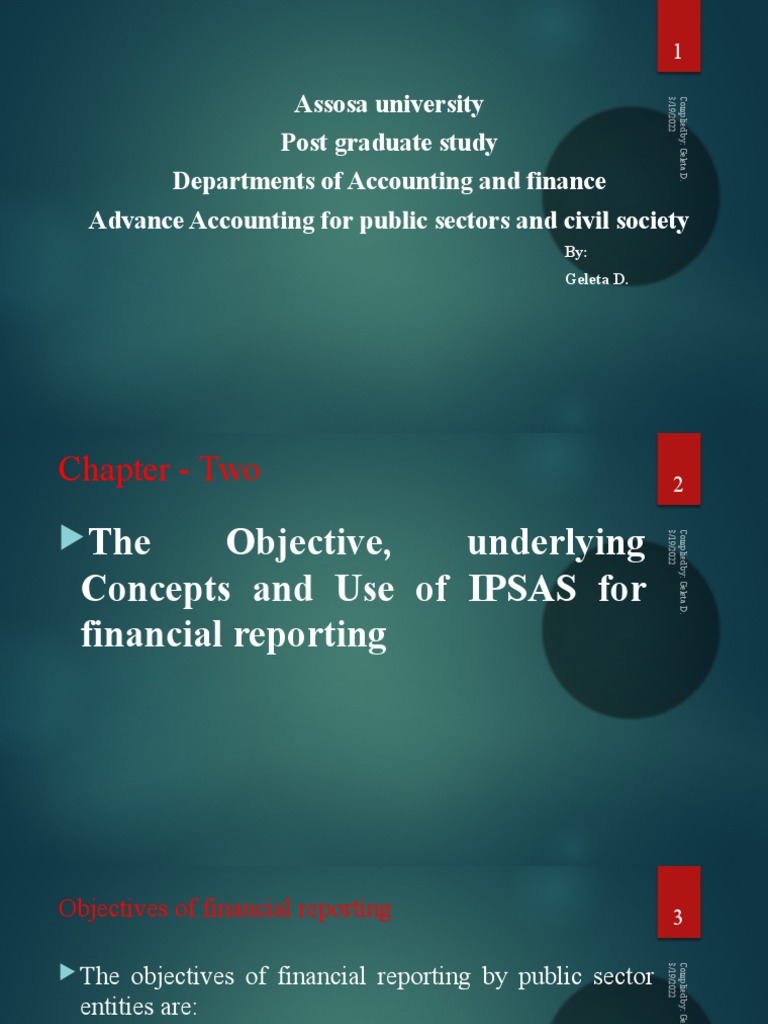 Public Sector Accounting Overview | PDF | International Financial ...