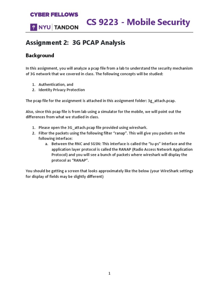 Mobile Security Assignment Guide | PDF | Authentication | Data Transmission