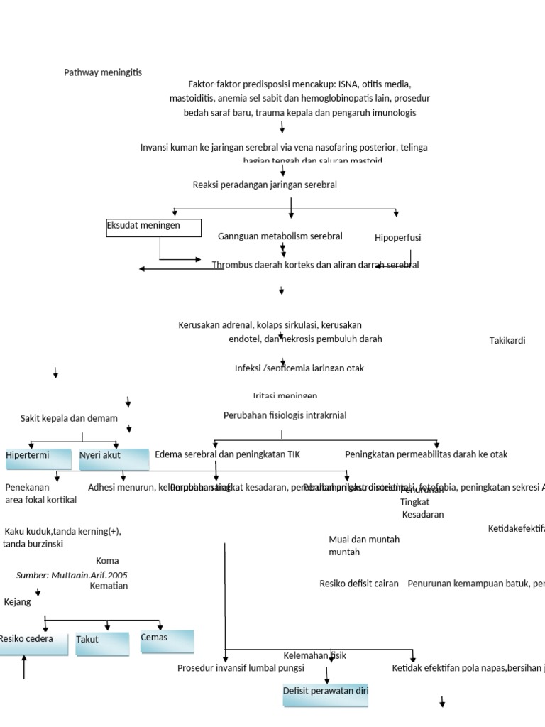 Pathway Meningitis | PDF