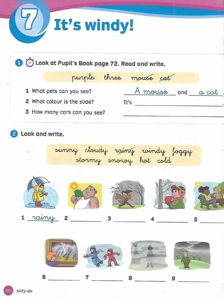 Unit 7 Team Up 1 | PDF