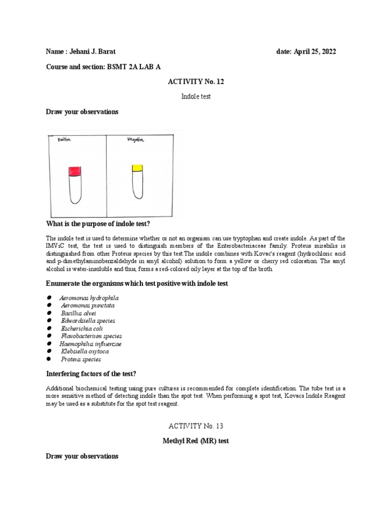 Imvic Test | PDF | Chemistry | Bacteria