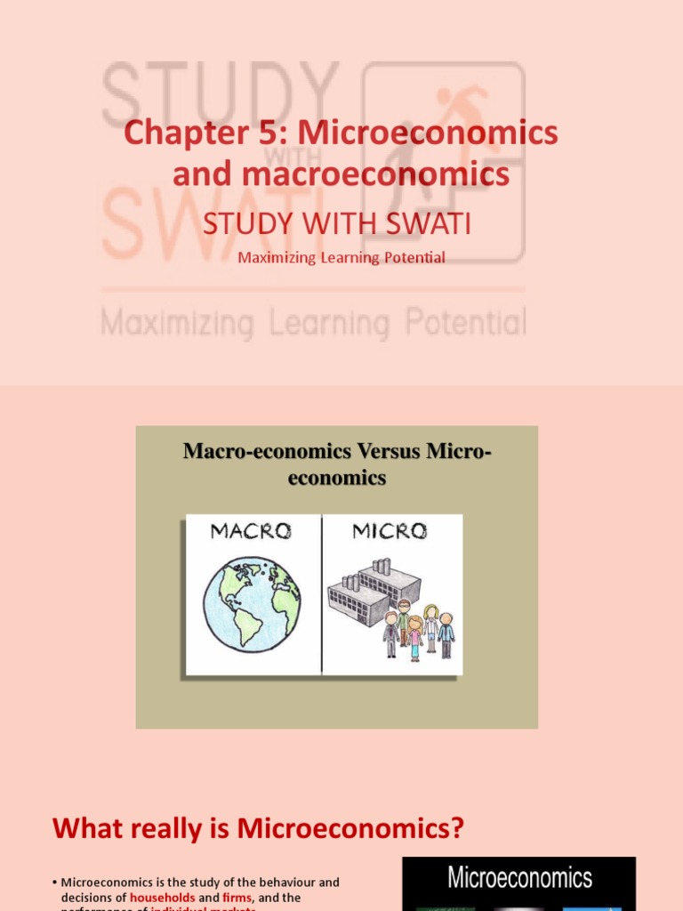 Chapter 5 Microeconomics and Macroeconomics | PDF