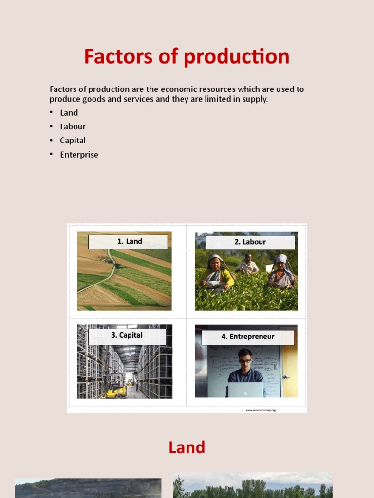 Chapter 2 Factors of Production | PDF | Labour Economics | Entrepreneurship
