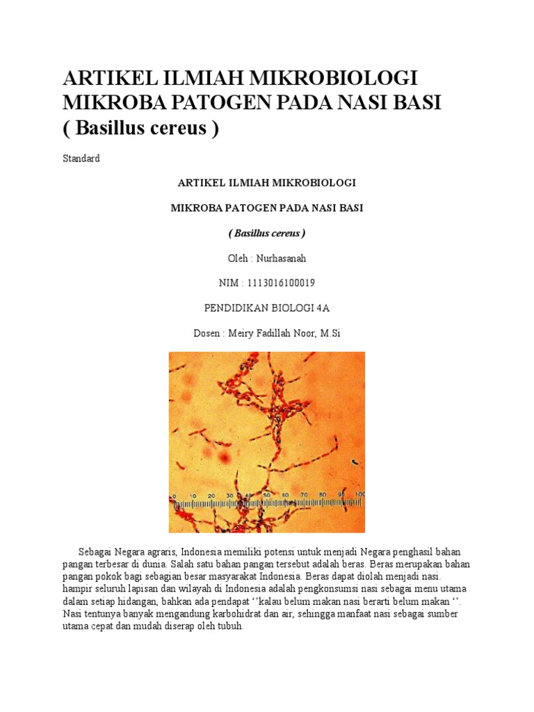Mikroba Patogen pada Nasi Basi | PDF | Kesehatan Holistik