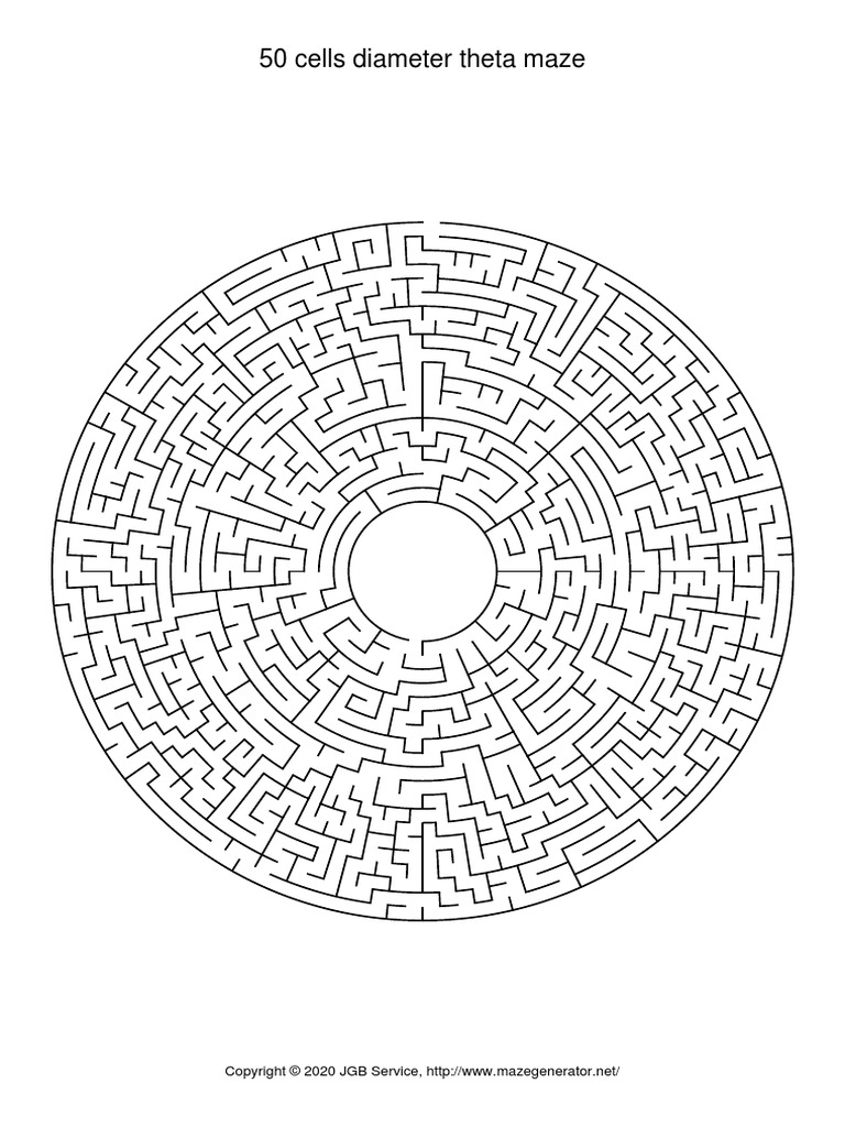 50 Cells Diameter Theta Maze | PDF | Computers
