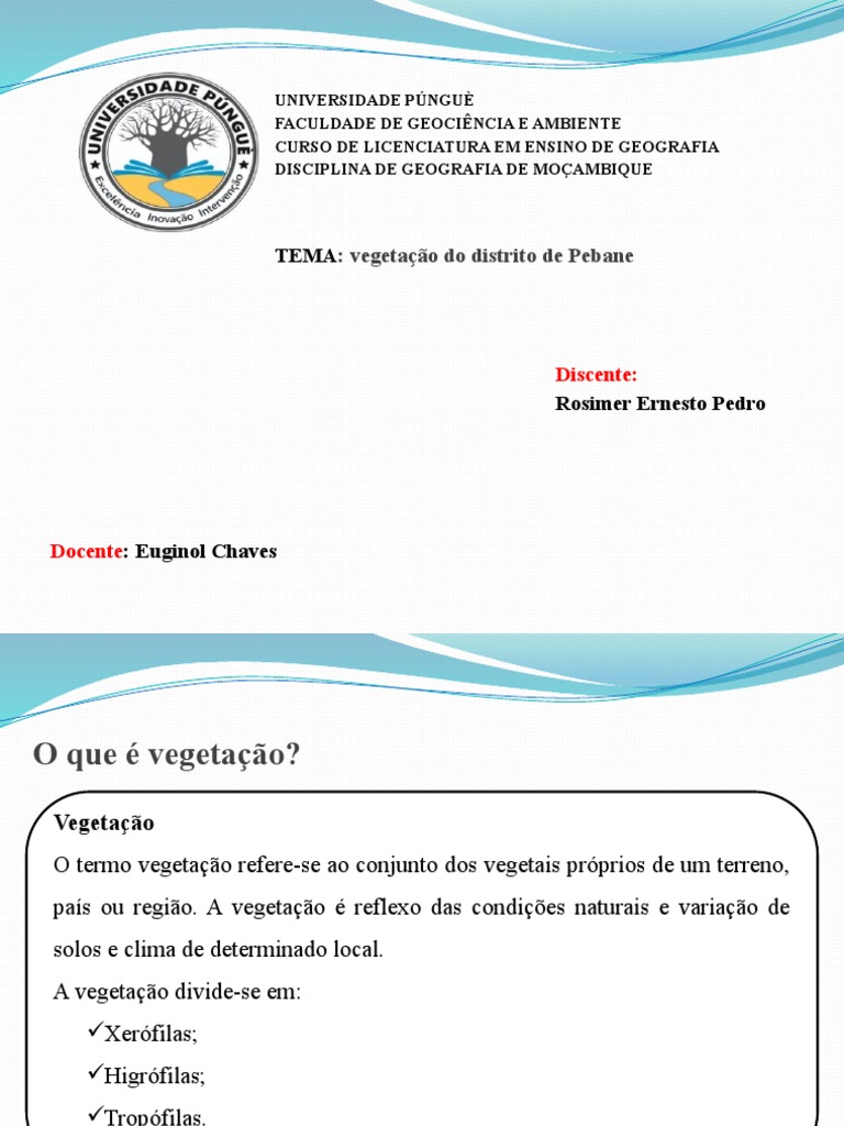 Vegetação e Turismo em Pebane | PDF | Turismo | Vegetação